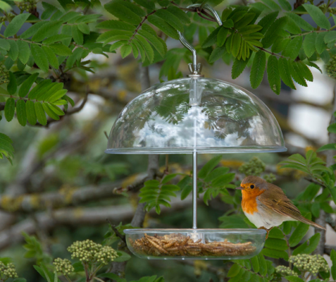 Robin feeder - Noblewood Garden Store